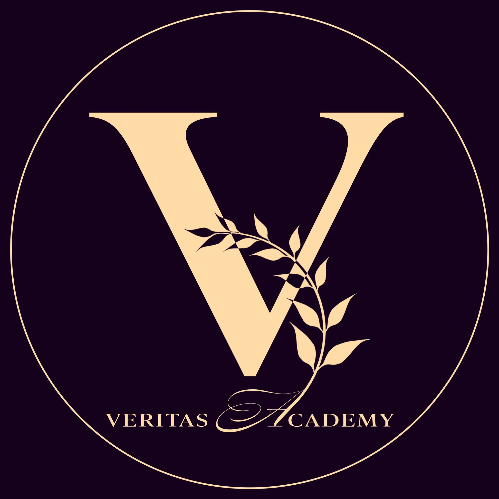 Meditatii Matematica | Cei Mai Buni 25 Profesori